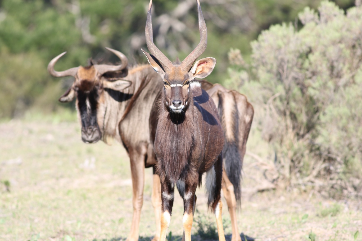 An unforgettable getaway awaits at Pabala Private Nature Reserve - Love ...